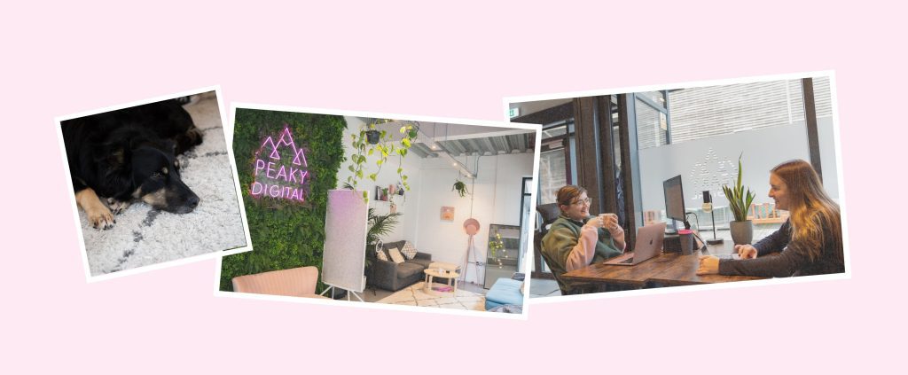 About Us | Peaky Digital