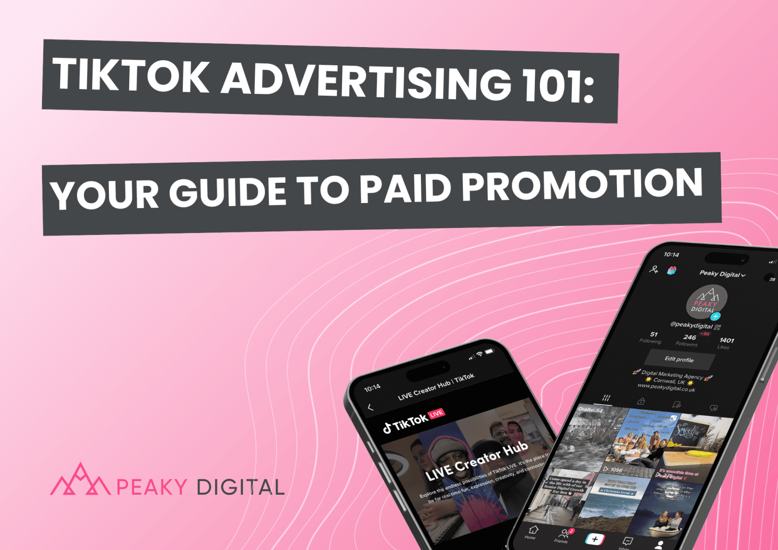 TikTok Advertising 101: Your Complete Guide to Paid Promotion - Peaky ...